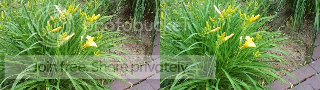 Comparison Pictures: Bloggie 3D, Panasonic GH2 w. 3D Lens, Panasonic ...